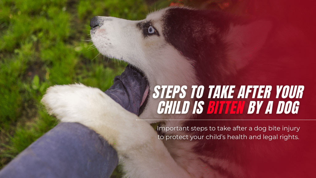 Lawyer for Child Dog Bite Bone Infection Case | Michigan